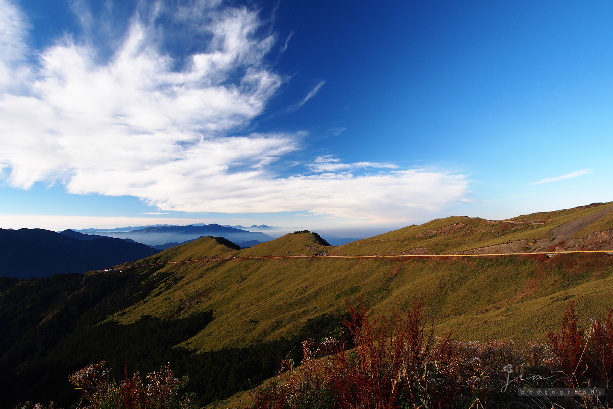 Jen Leung Photography