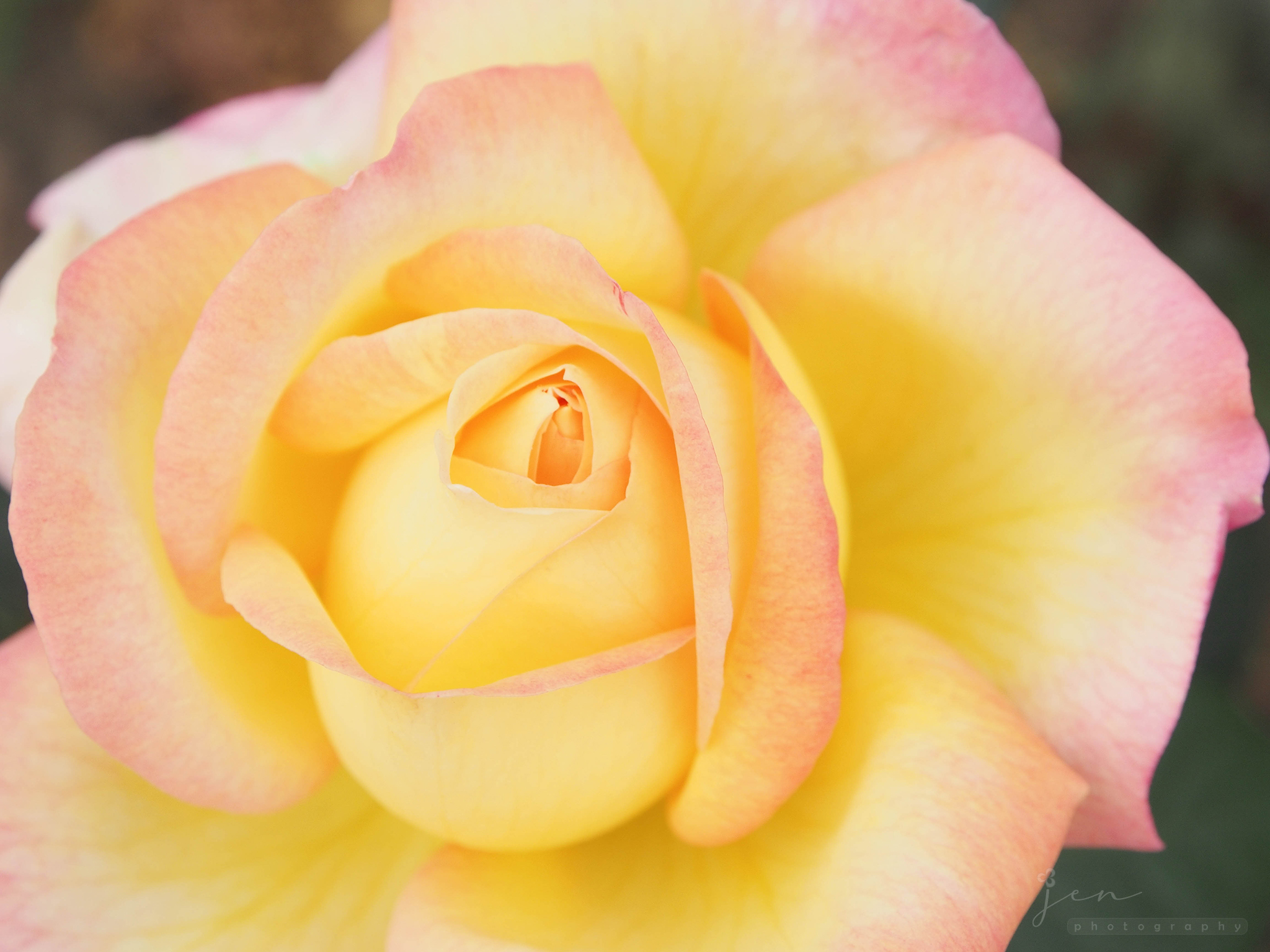 Jen Leung Photography